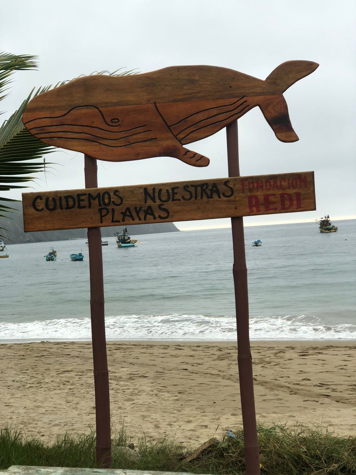 Blog – rediecuador